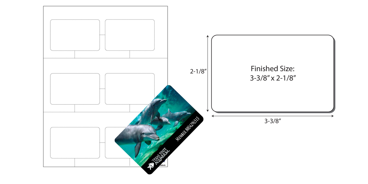 Item NTW-3: 6-Up 3 3/8" x 2 1/8" Club Cards 8 1/2" x 11" Sheet(25 ...